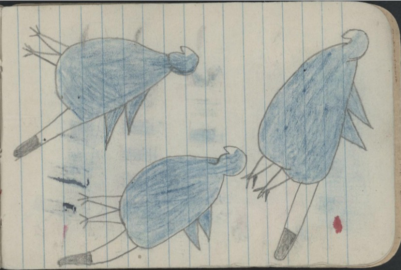 Gallery - A Native Ledger | Chapman Center | Chapman Center Digital ...